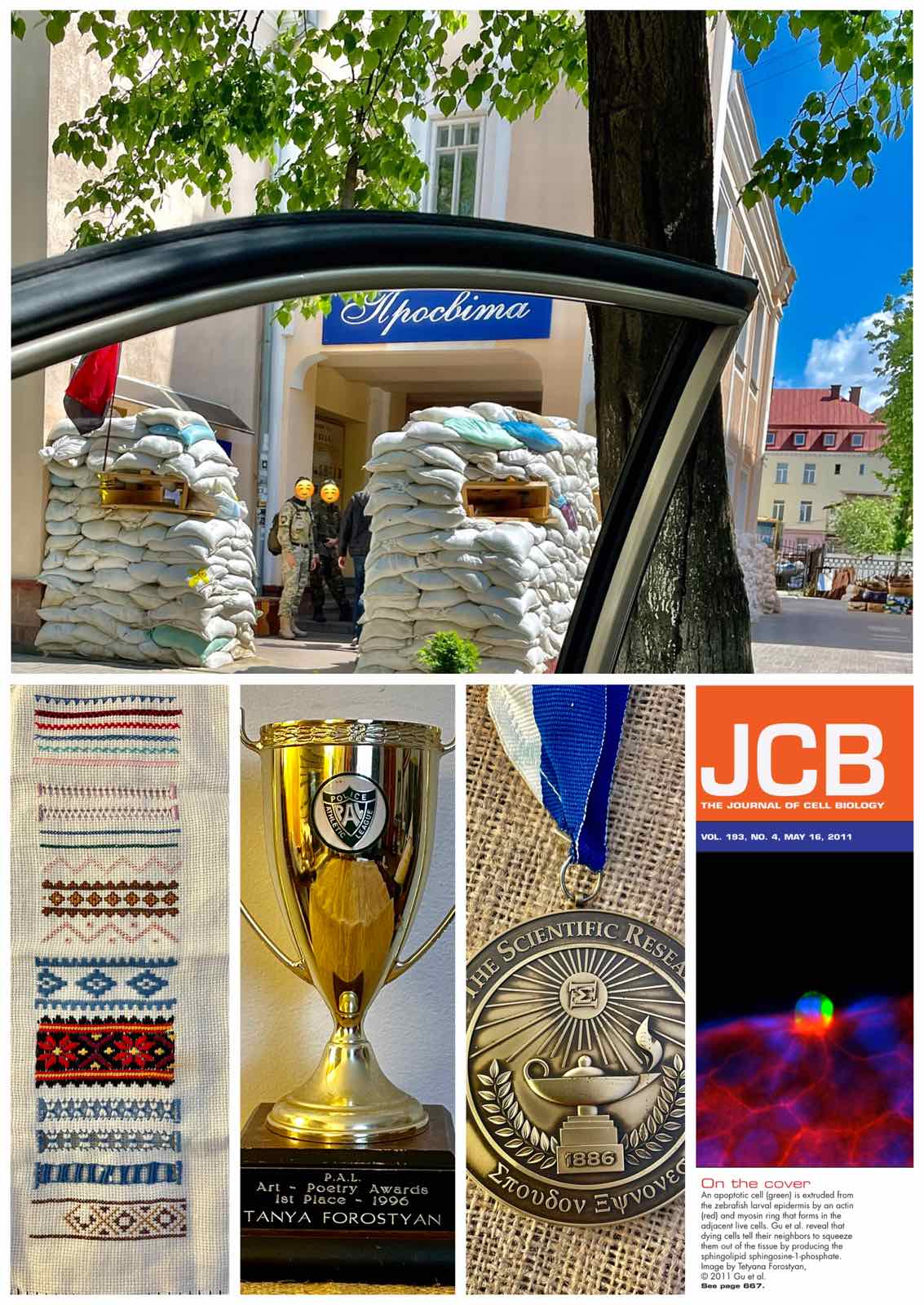 For Supporters - Arts For Meds